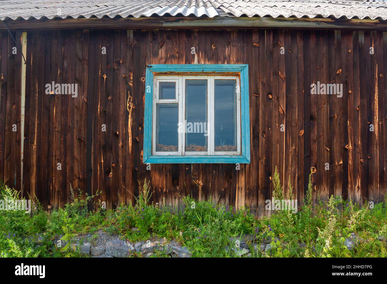 Old Russian window in wooden wall with layer of dry grass between the ...