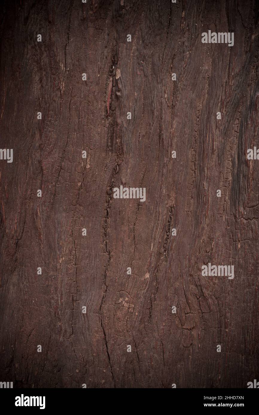 Texture of old bark wood use for natural background Stock Photo - Alamy