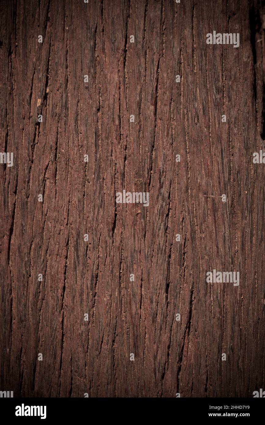 Texture of old bark wood use for natural background Stock Photo - Alamy
