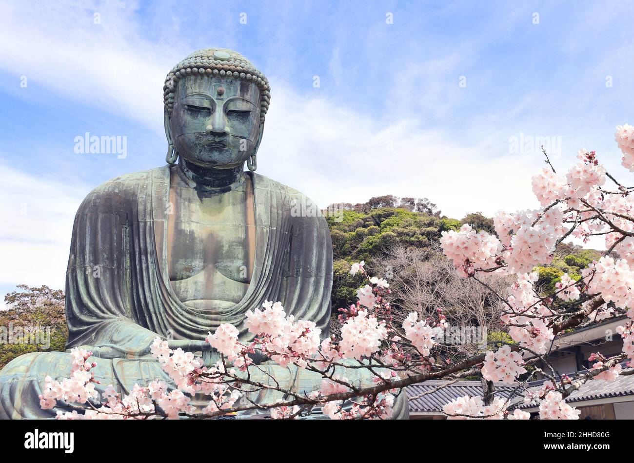 Ancient bronze statue of the Great Buddha Daibutsu and flowers of ...
