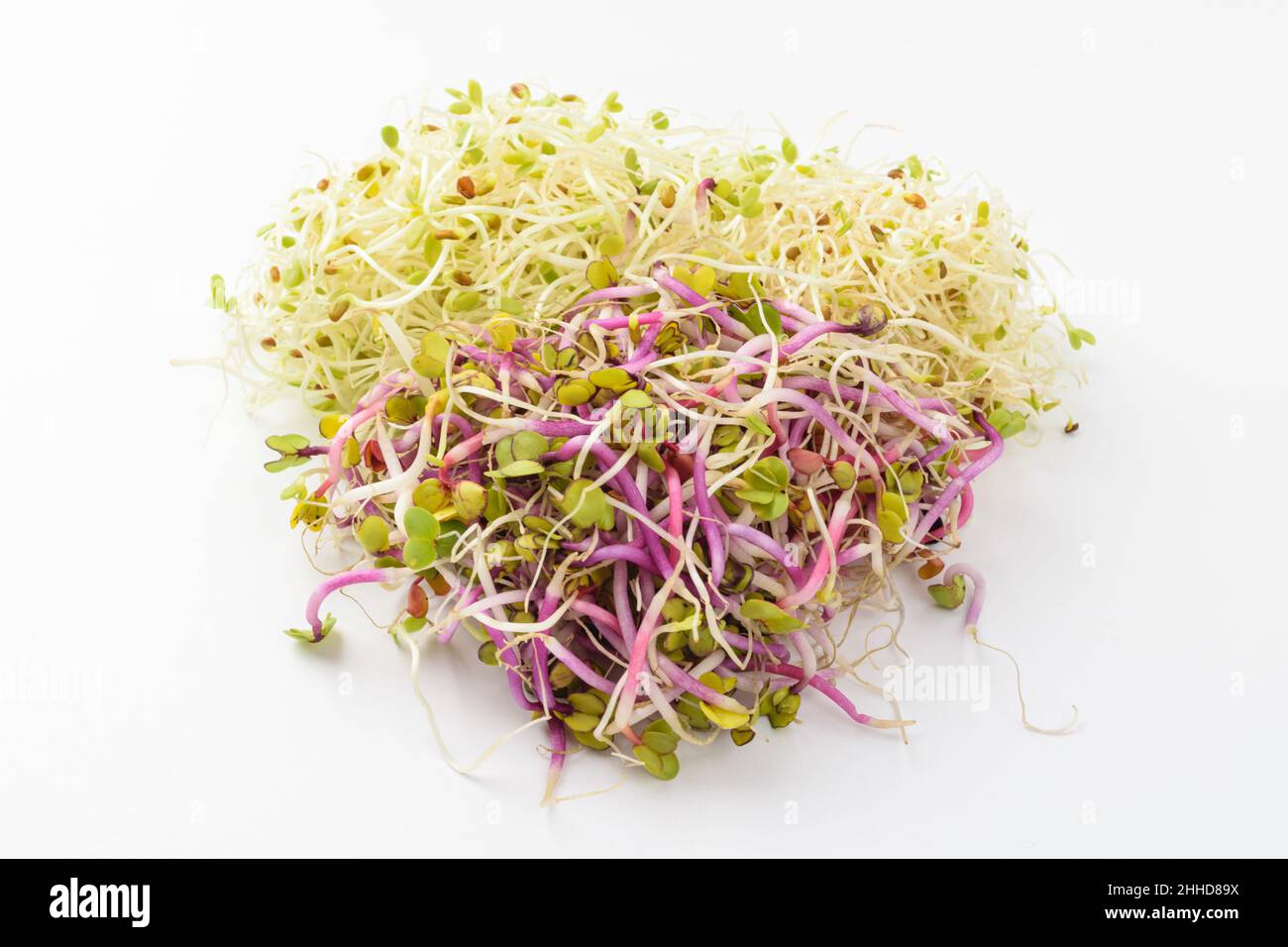 Sprout with leaf hi-res stock photography and images - Alamy