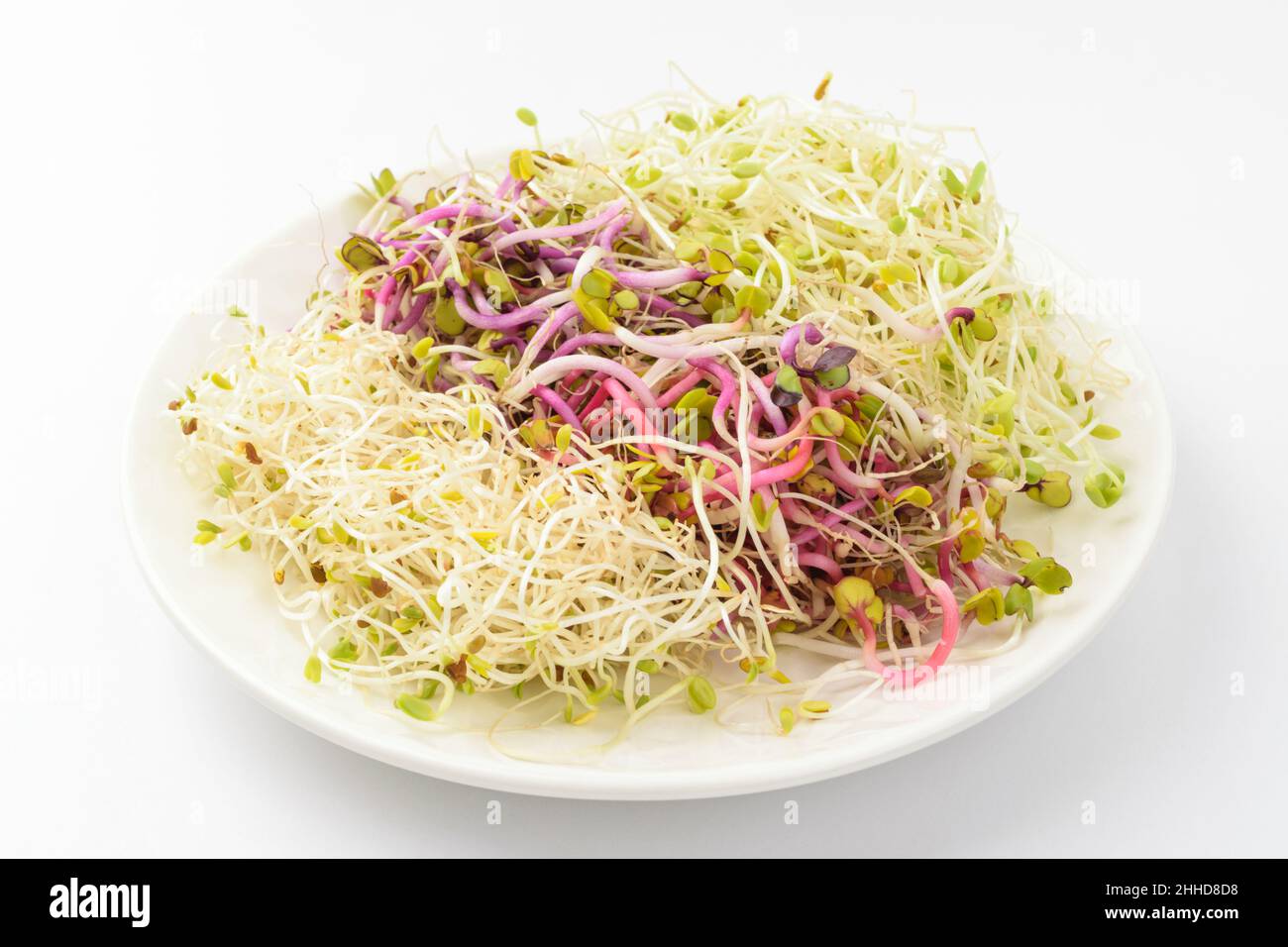 Sprout vegetables on white background Stock Photo - Alamy