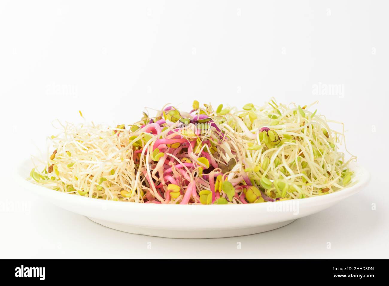 Sprout vegetables on white background Stock Photo - Alamy