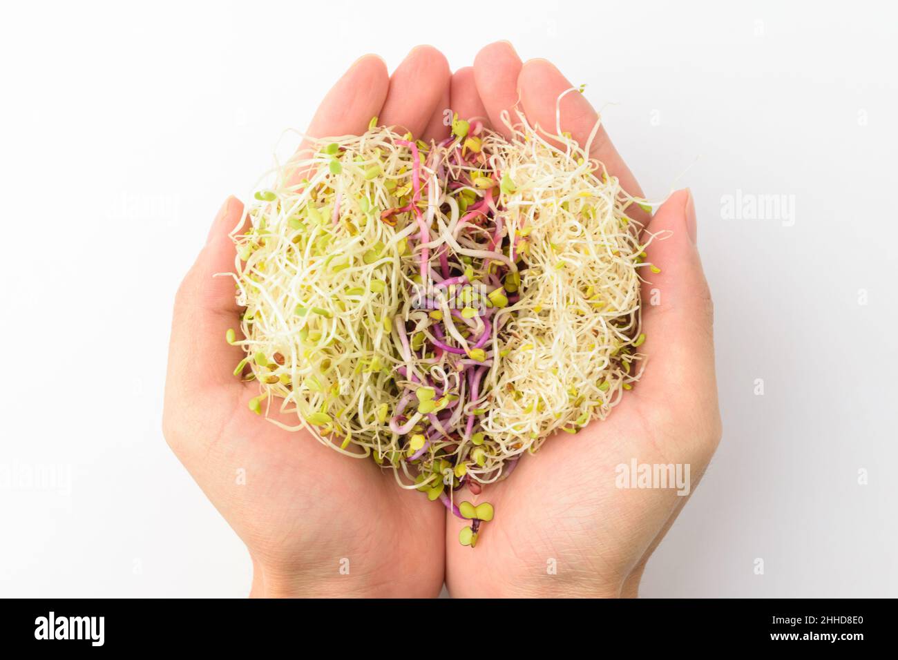 Sprout vegetables hi-res stock photography and images - Alamy