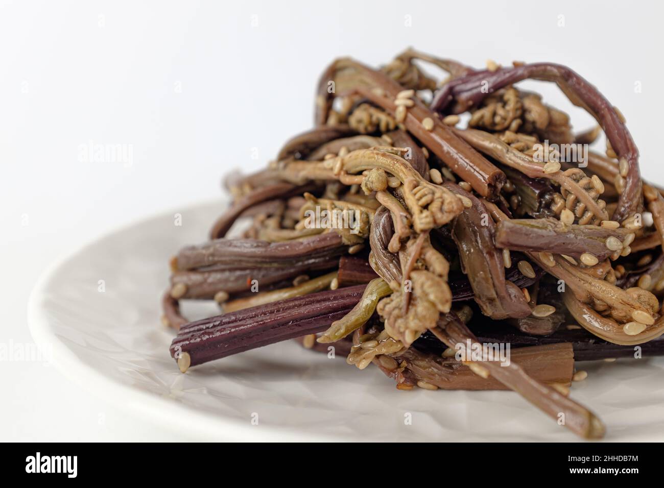 Fern herbs on a white background Stock Photo - Alamy