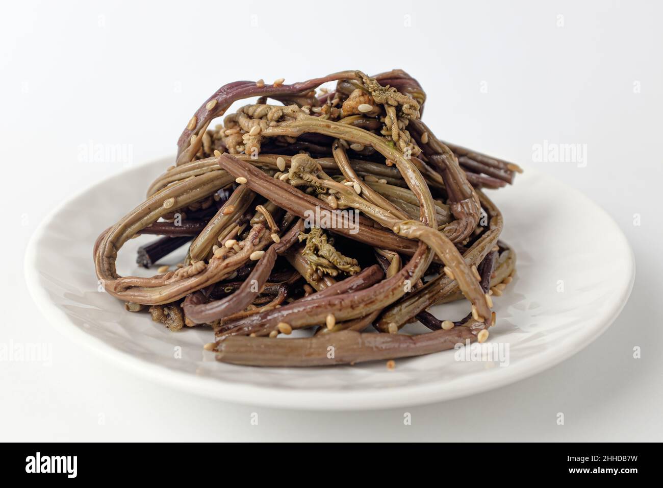 Fern herbs on a white background Stock Photo - Alamy
