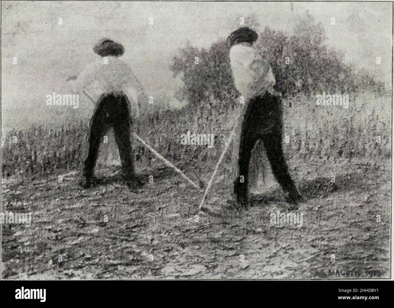 Magolic hi-res stock photography and images - Alamy