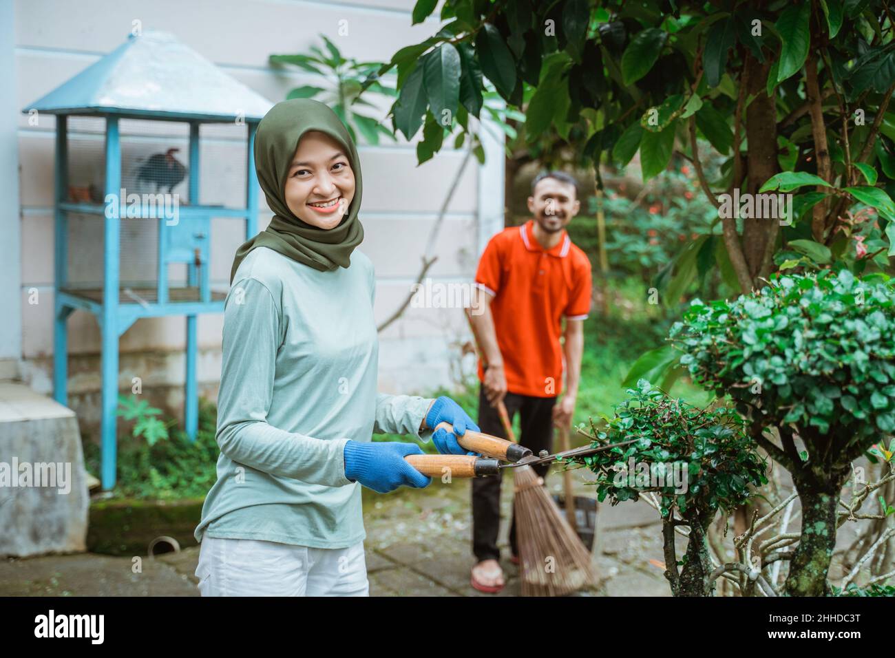 Veiled woman uses plant shears to trim ornamental plant leaves Stock ...