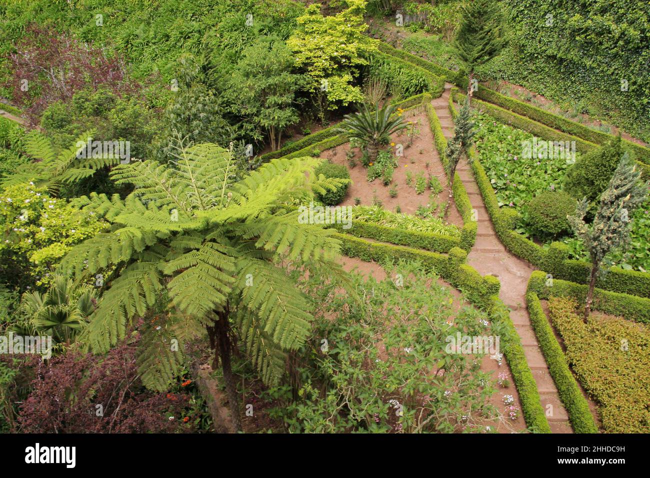 View of botanical garden in Monte at Funchal in Madeira,Portugal,Europe ...
