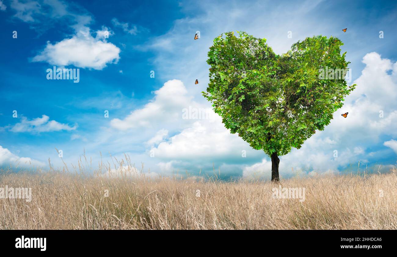 Heart Tree Love For Nature Landscape Stock Photo - Alamy