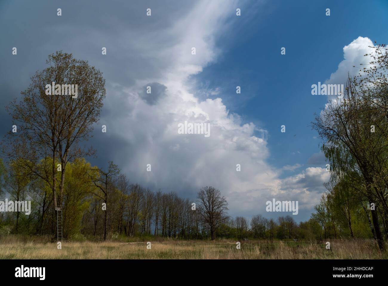 Cloud images with rain clouds and storm clouds in the landscape Stock ...