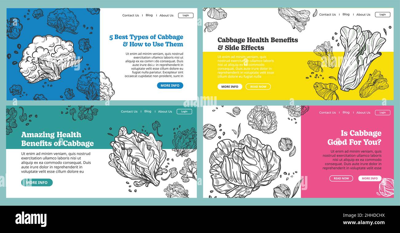 Healthy cabbage benefits concept, vector illustration Stock Vector ...