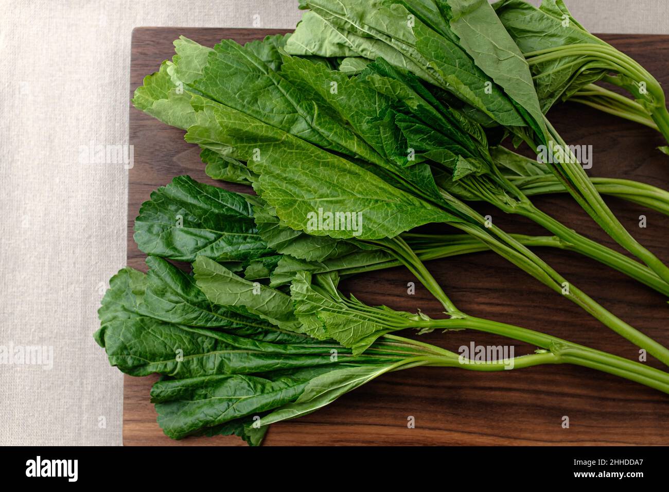 Long and tough edible plant mallow Stock Photo - Alamy