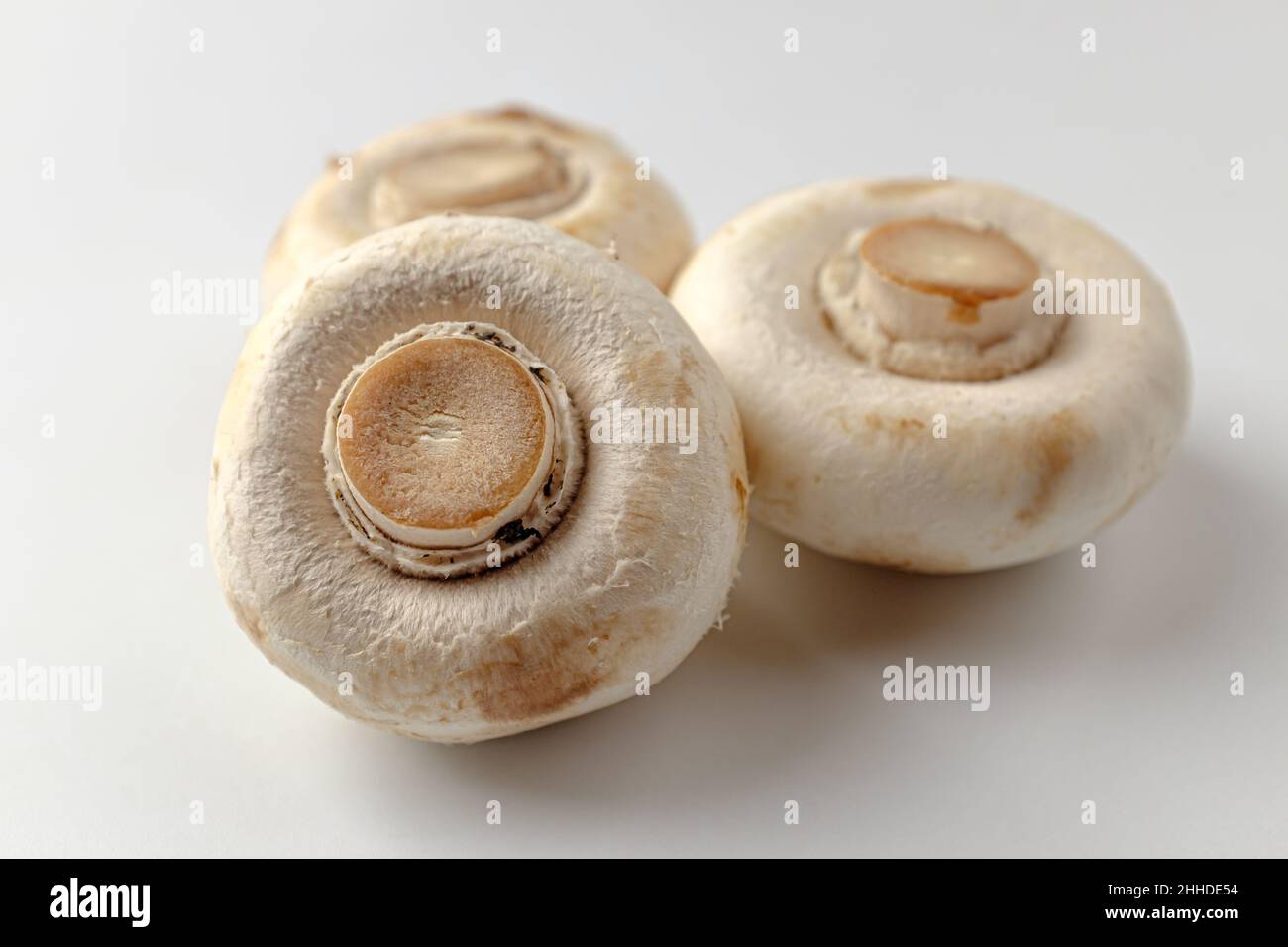White button mushrooms on a white background Stock Photo - Alamy