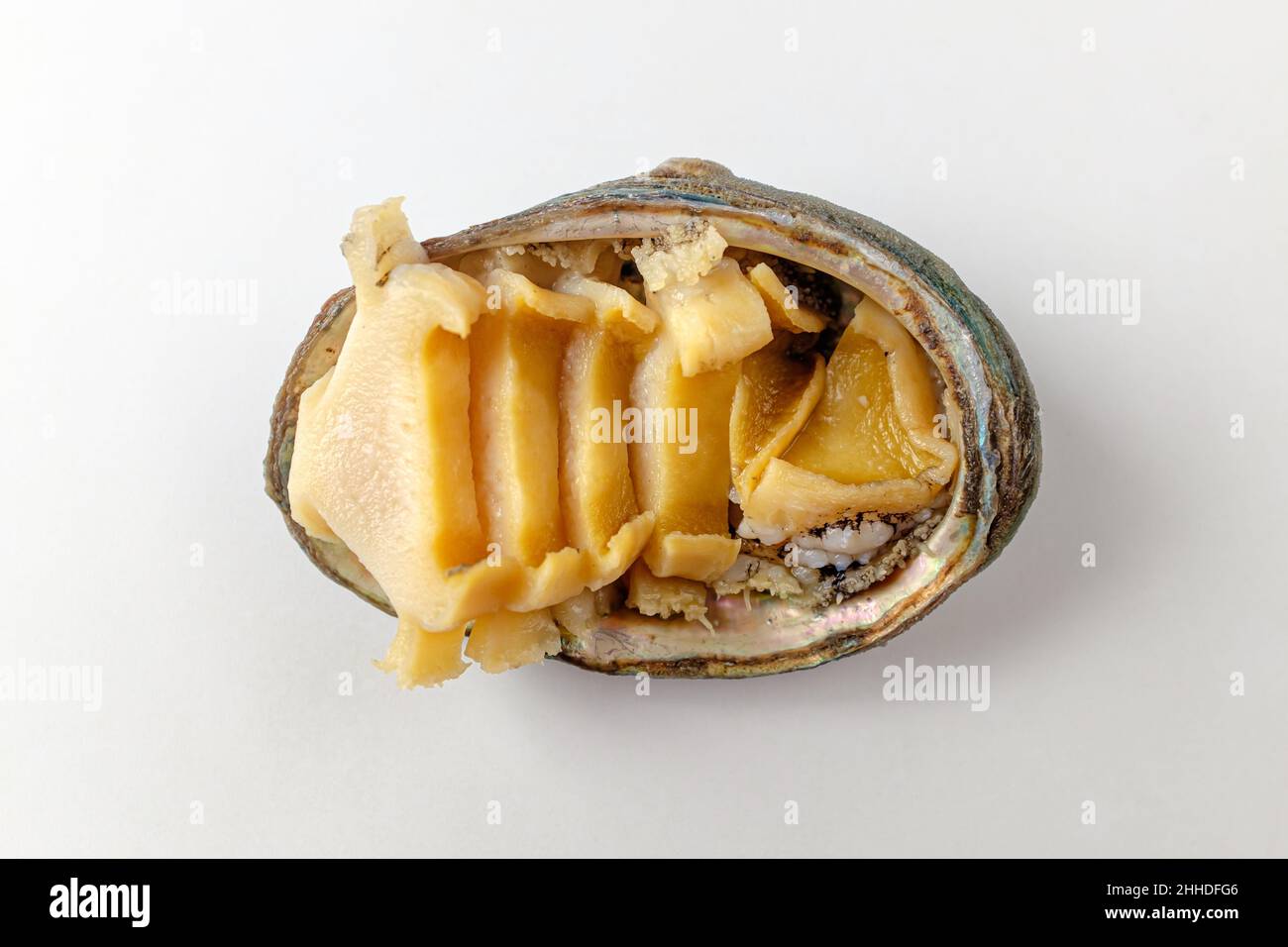 Abalone succulent on white background Stock Photo - Alamy