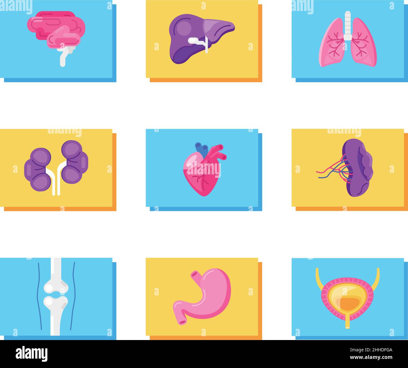 Vector illustration of cartoon human internal organs Stock Vector Image ...