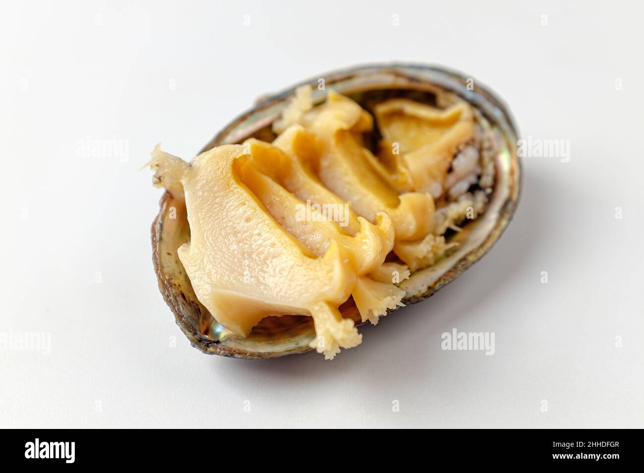 Abalone succulent on white background Stock Photo - Alamy