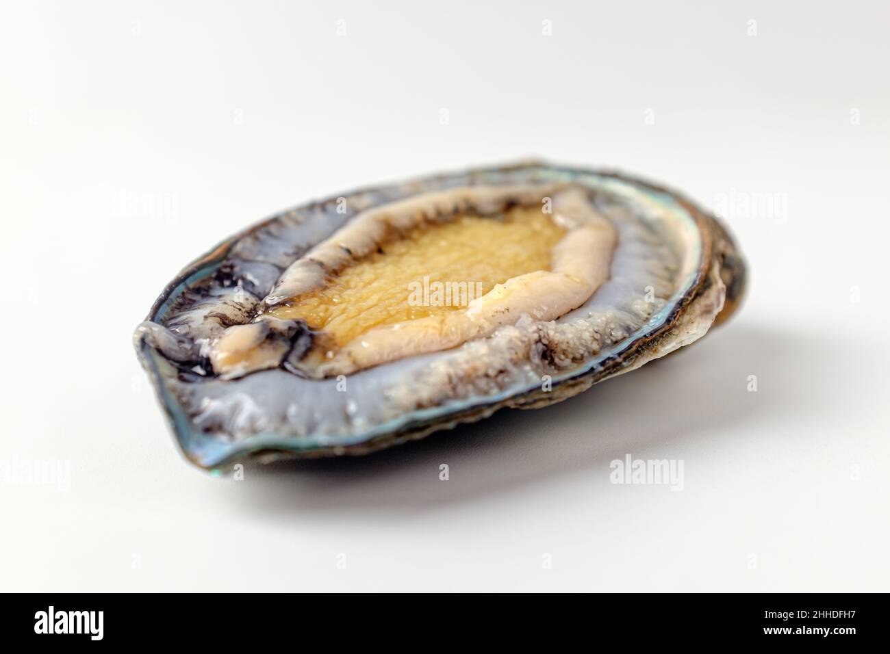 Raw abalone on a white background Stock Photo - Alamy