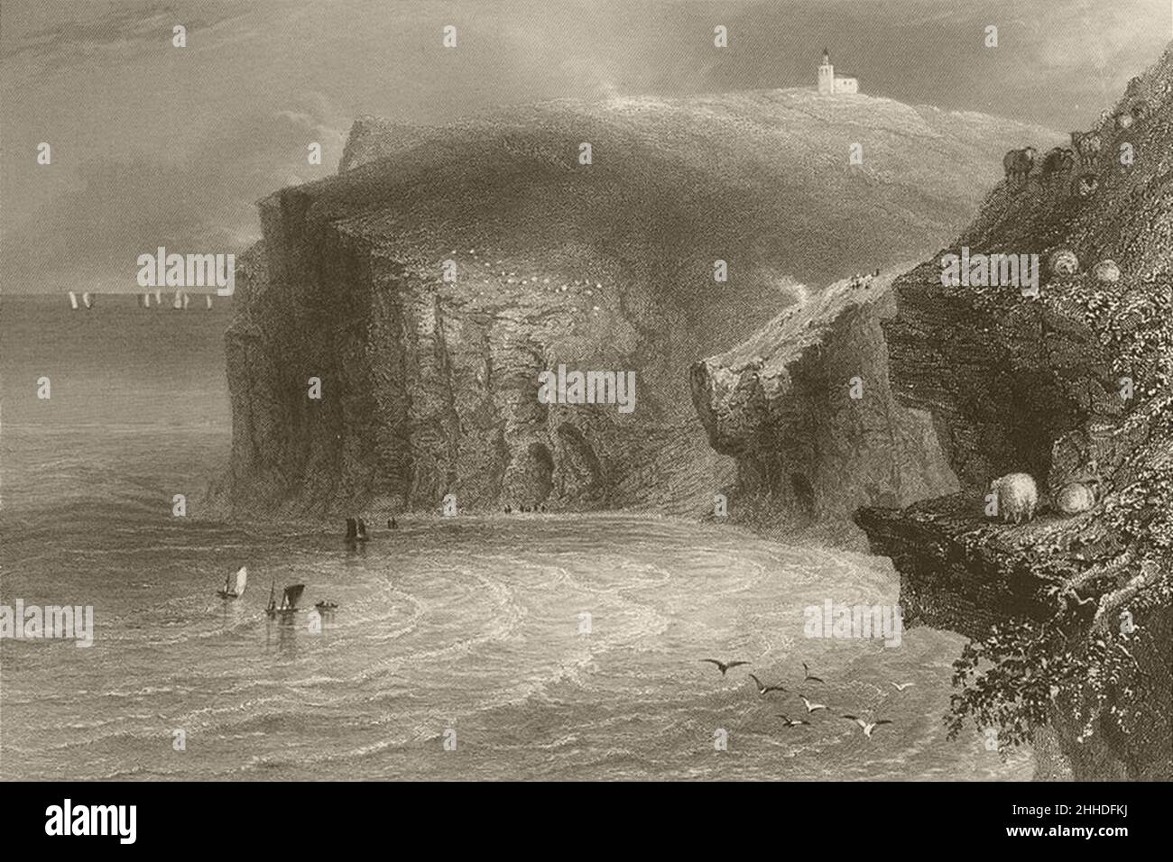 St bees head lighthouse hi-res stock photography and images - Alamy