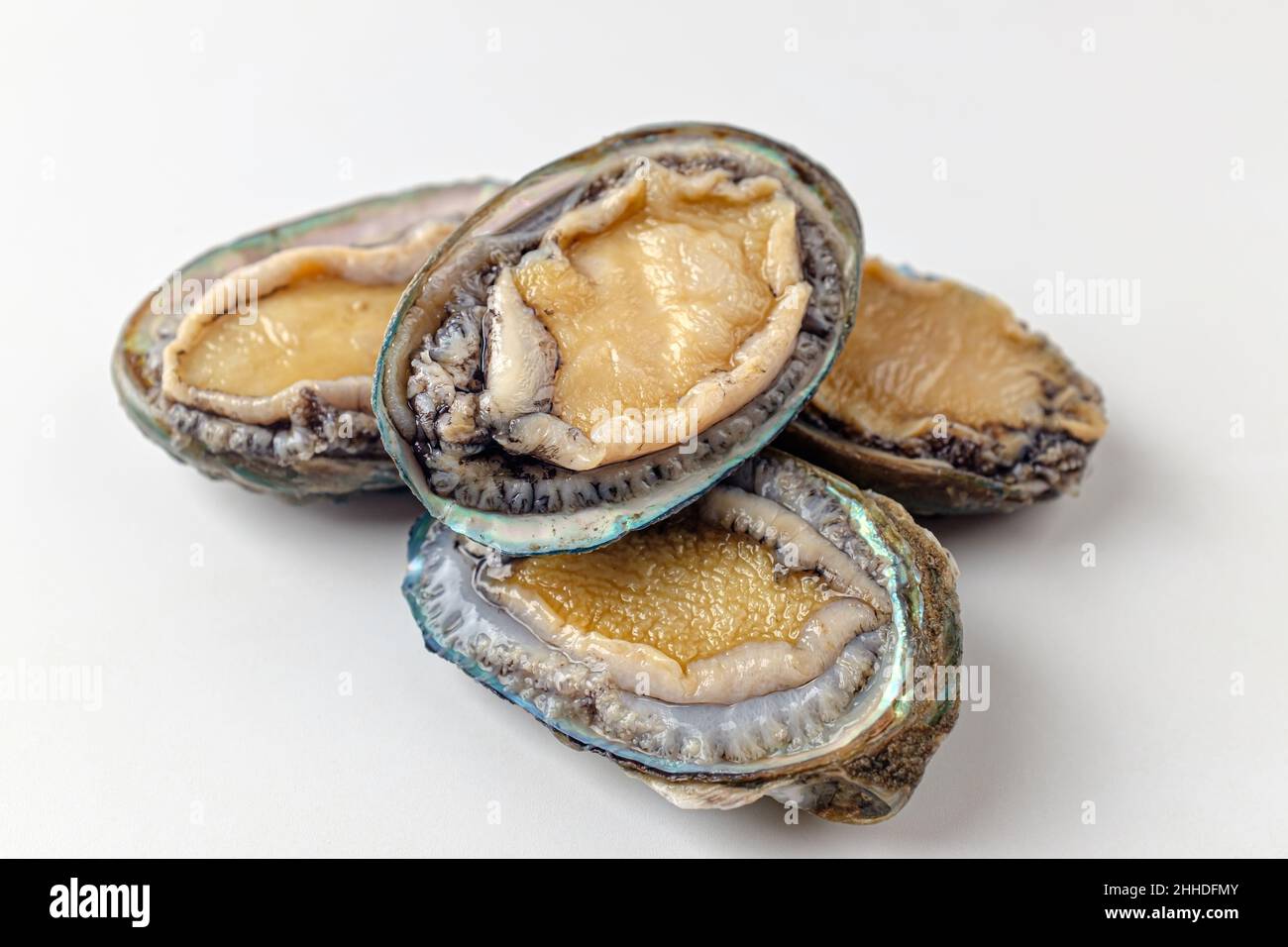 Raw abalone on a white background Stock Photo - Alamy