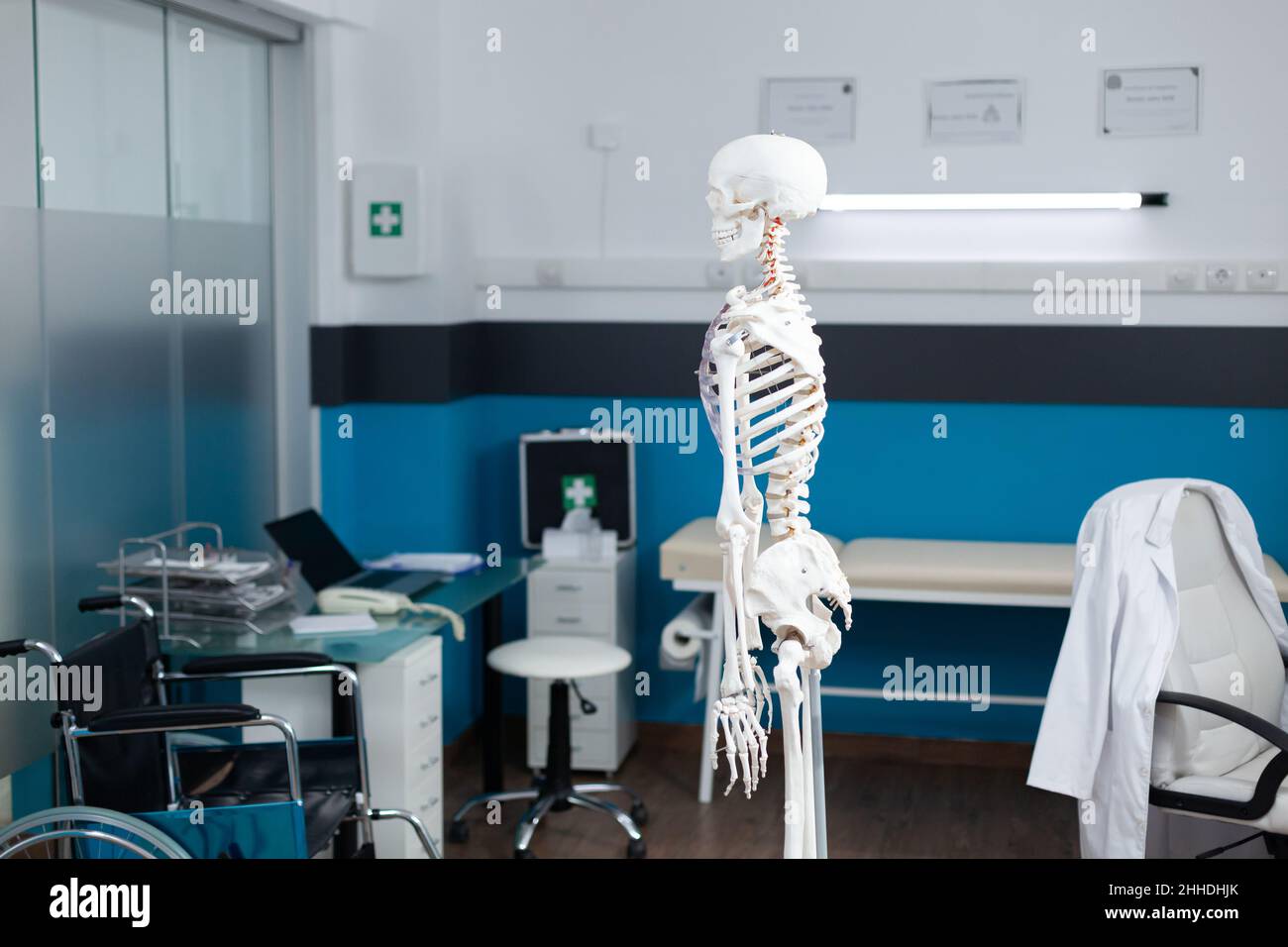 Human skeleton arm bones model hi-res stock photography and images - Alamy