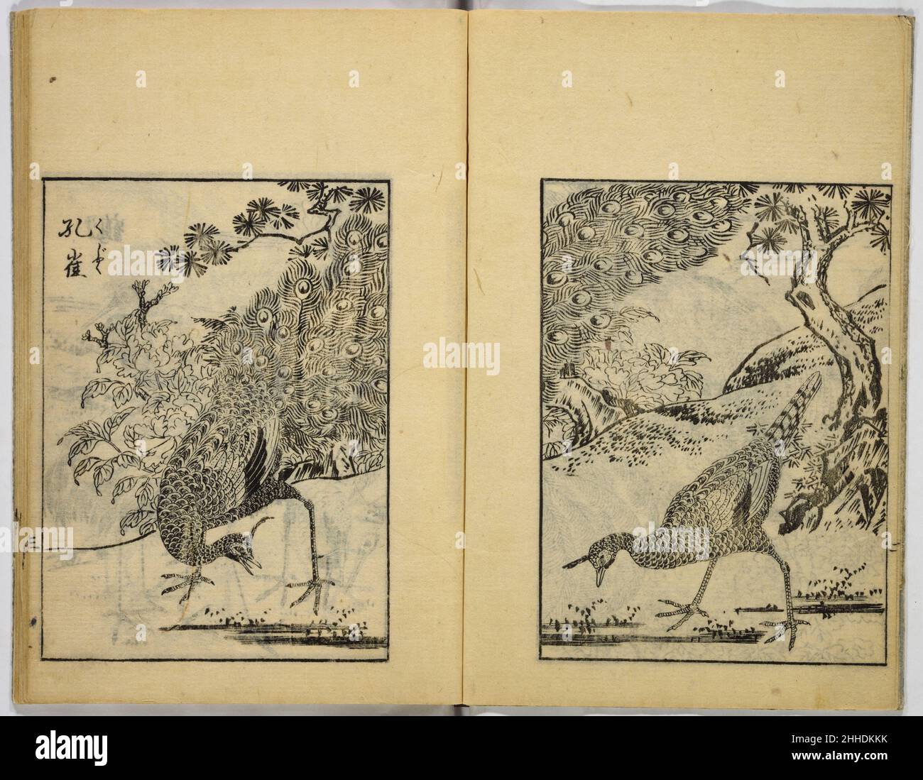 Edo model hi-res stock photography and images - Alamy