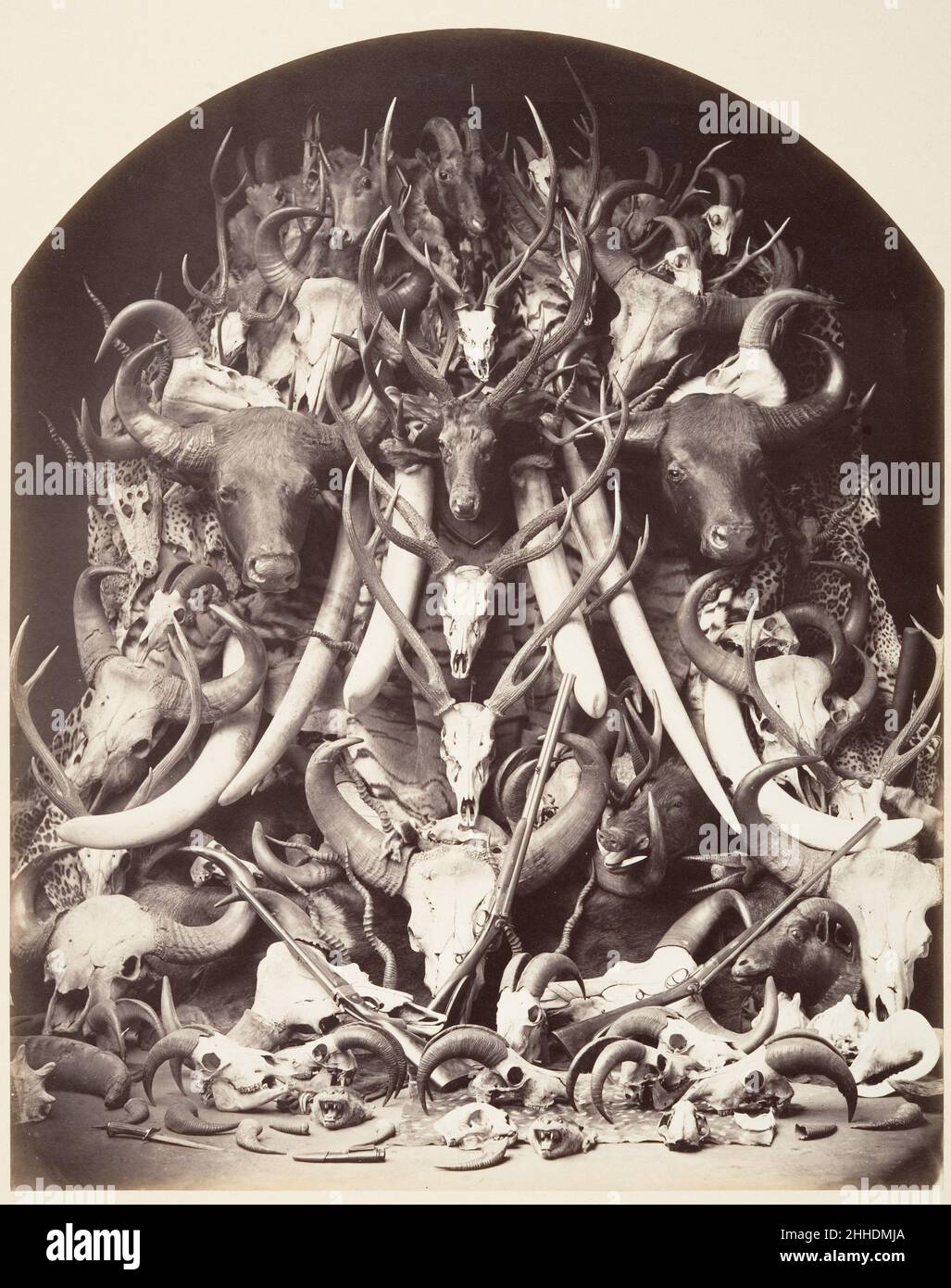 Hunting Trophies ca. 1870 Unknown Shikar, or big game hunting, was an ...