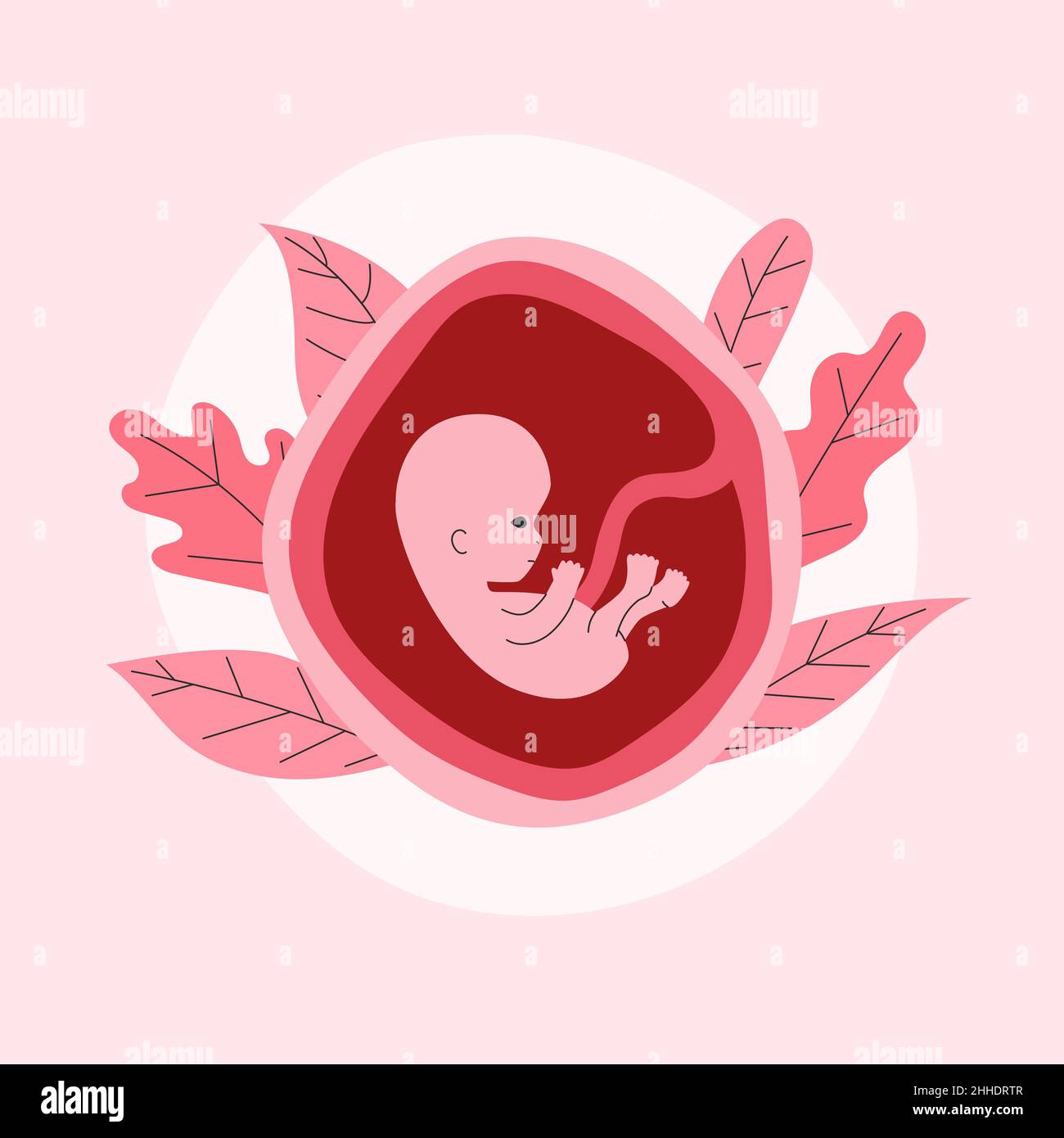 Hand drawn fetus illustration Vector illustration Stock Vector Image ...