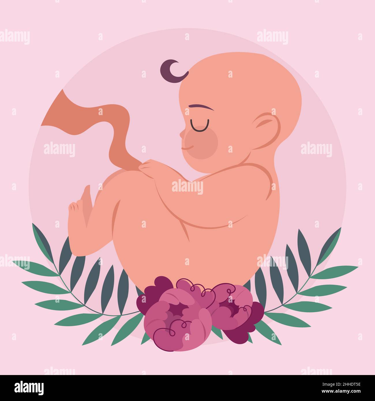 Hand drawn fetus illustration Vector illustration Stock Vector Image ...