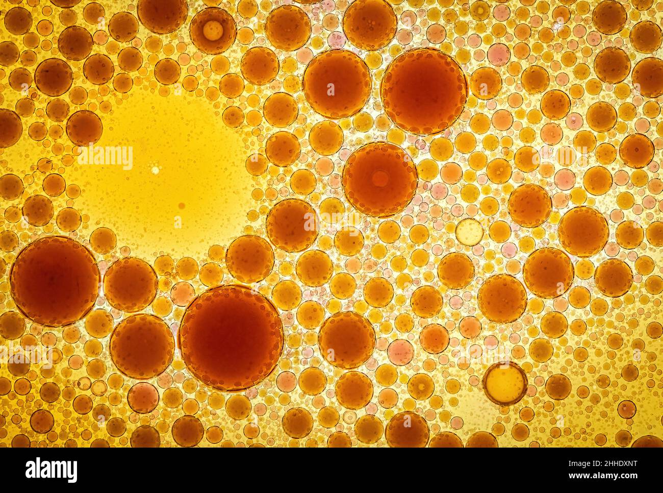 Seamless vector oil hi-res stock photography and images - Alamy