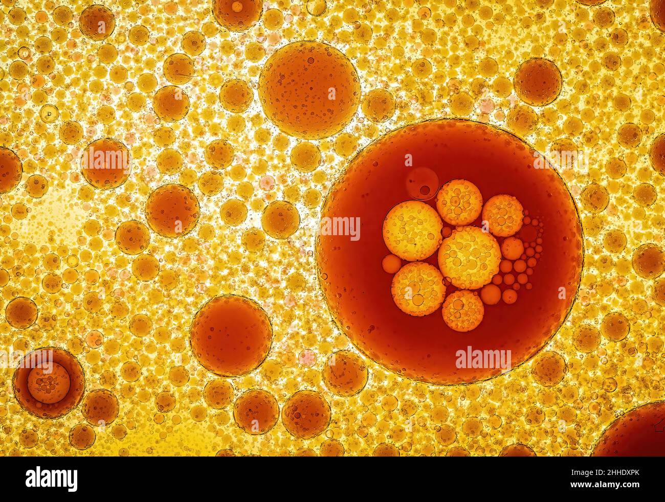 Brown Bubbles in Liquid Stock Photo - Alamy
