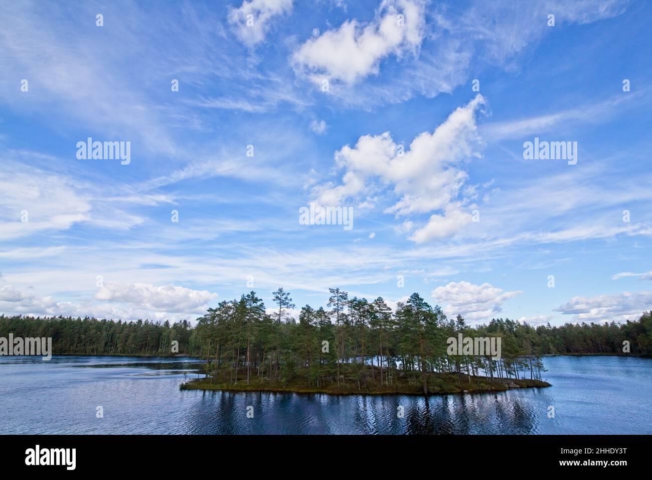 Small island with trees on a lake, Luukki, Finland Stock Photo - Alamy