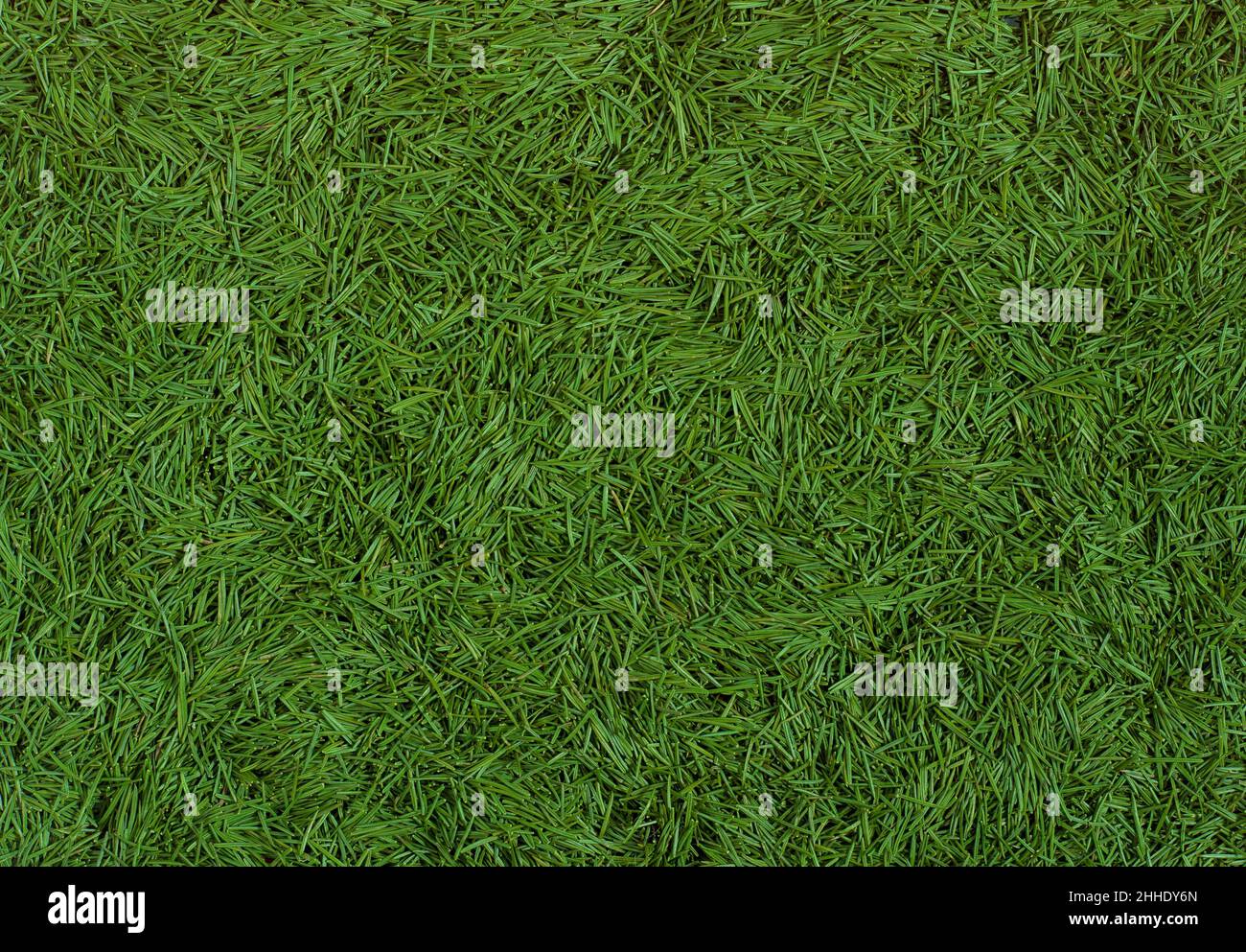 Green background. Tree needles. The concept of fallen needles from the ...