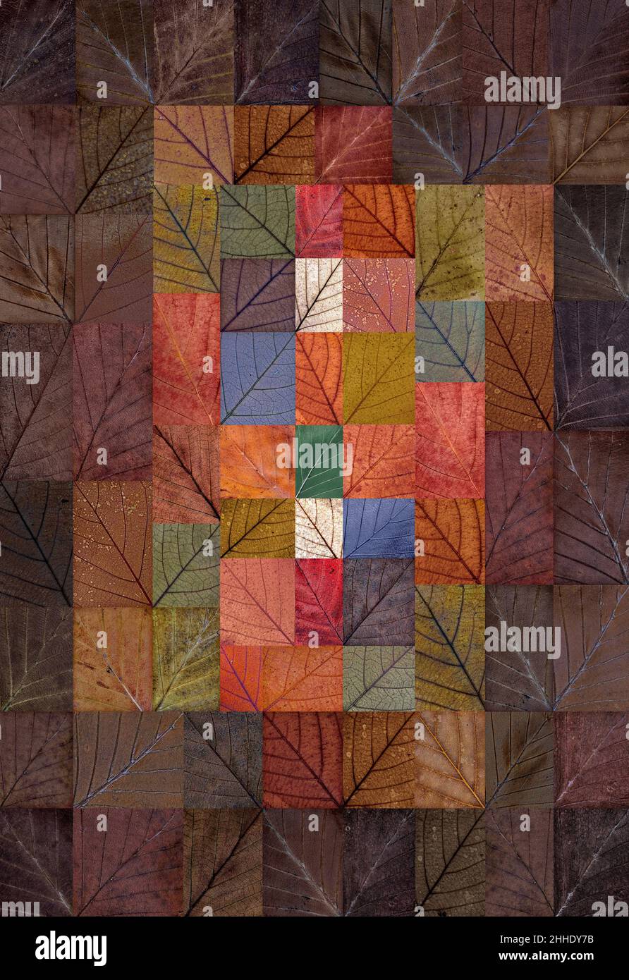 Leaf collage hi-res stock photography and images - Alamy