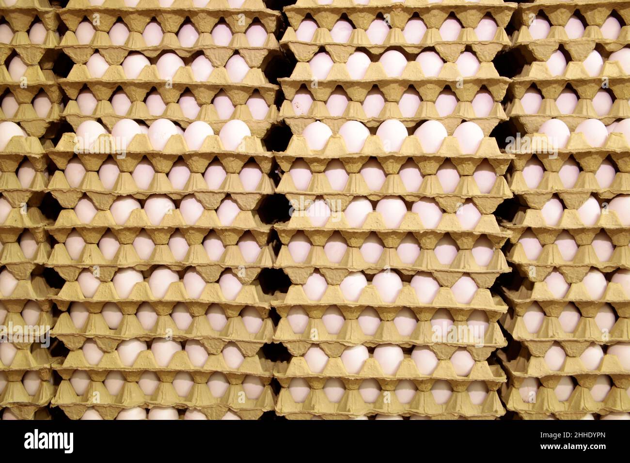 Fresh eggs in the egg factory. Egg factory industry Stock Photo - Alamy