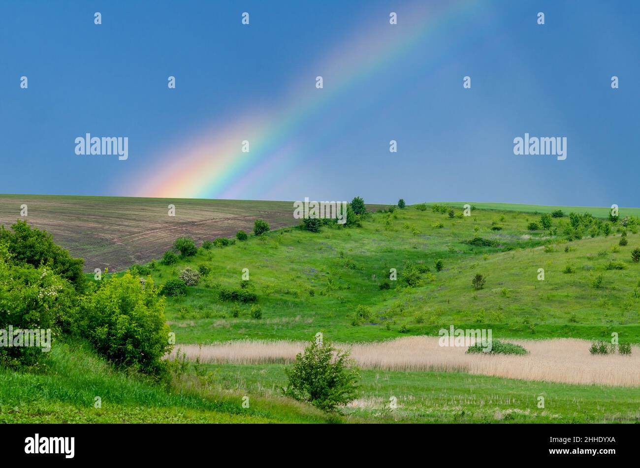 Very beautiful gentle spring photo. Rainbow on field after rain ...