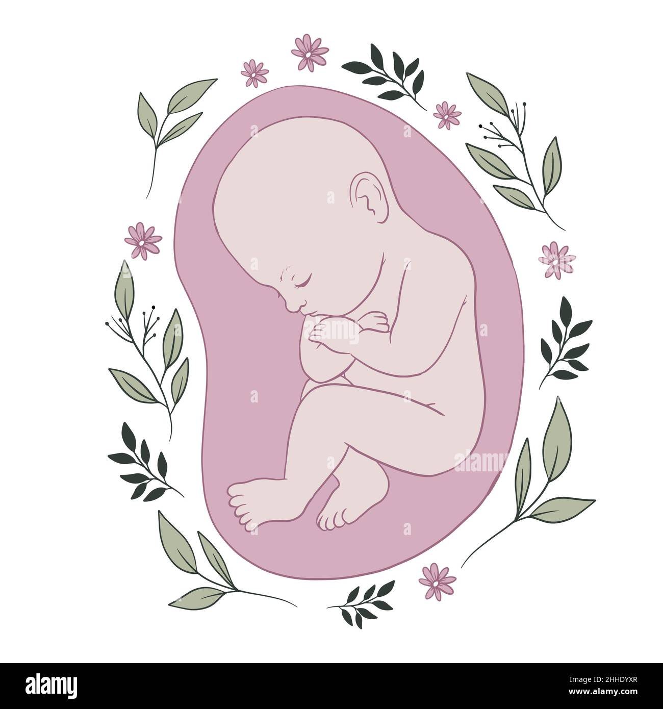 Human fetus concept illustration prenatal Cut Out Stock Images ...