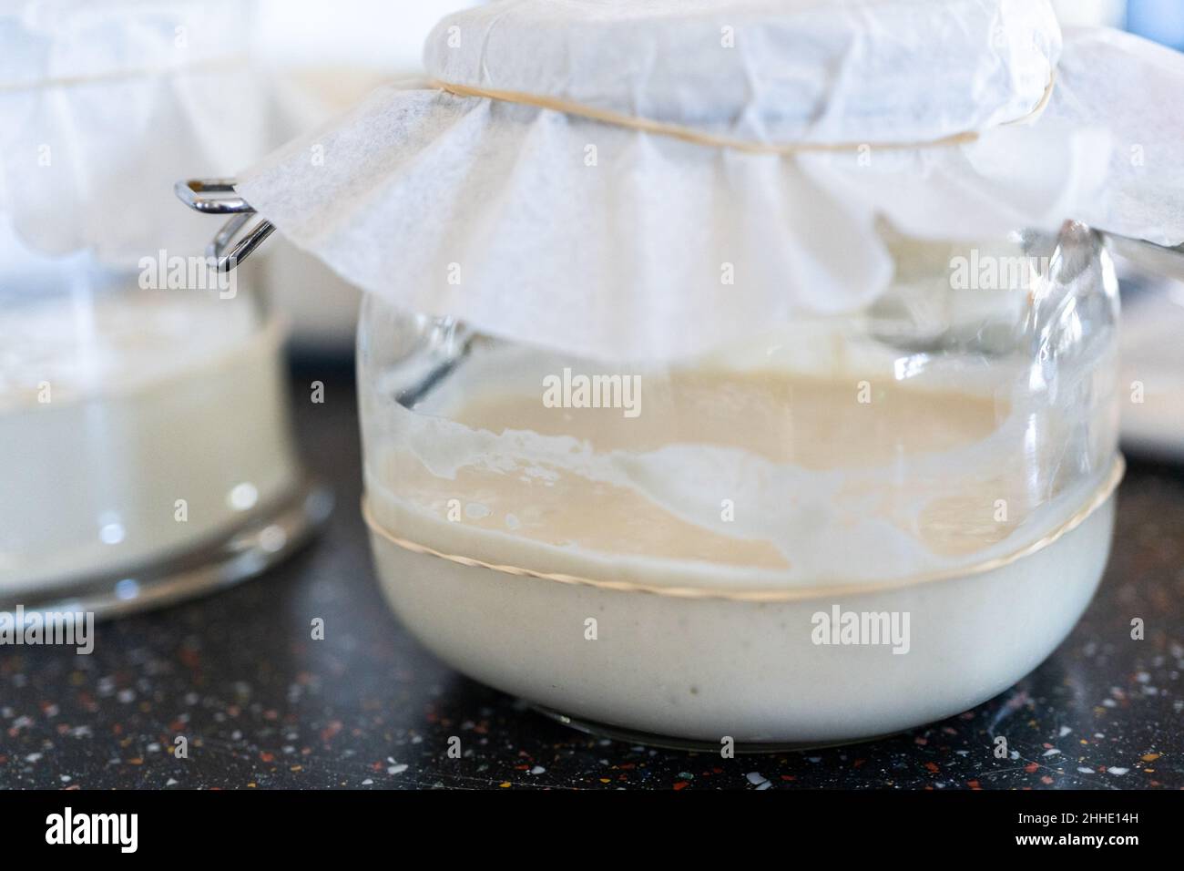 Preparing homemade sourdough starter for baking bread Stock Photo - Alamy