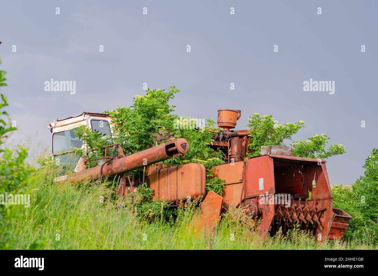 Old rusty agricultural machinery in thickets of green bushes in field ...
