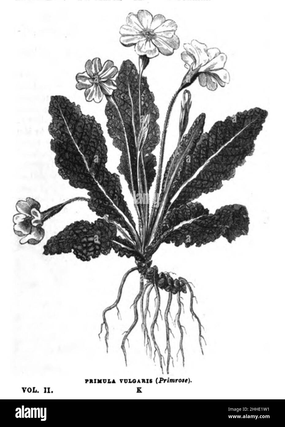 Stackhouse hi-res stock photography and images - Alamy