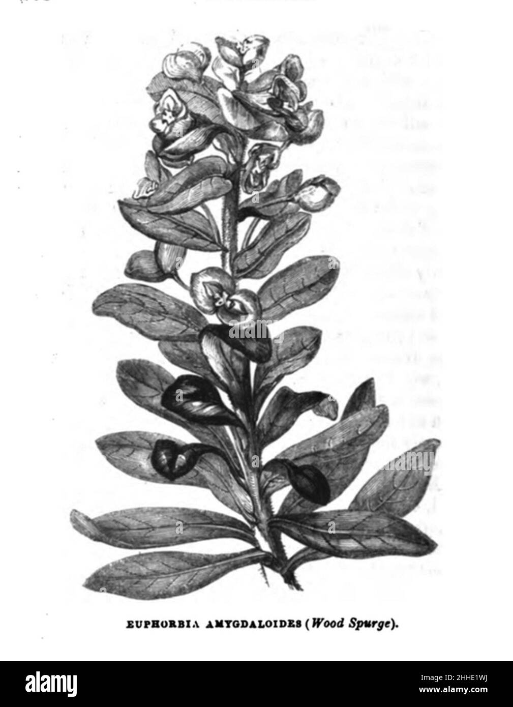 Stackhouse hi-res stock photography and images - Alamy