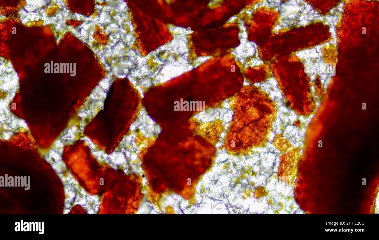 Saffron and olive oil under the microscope Stock Photo - Alamy