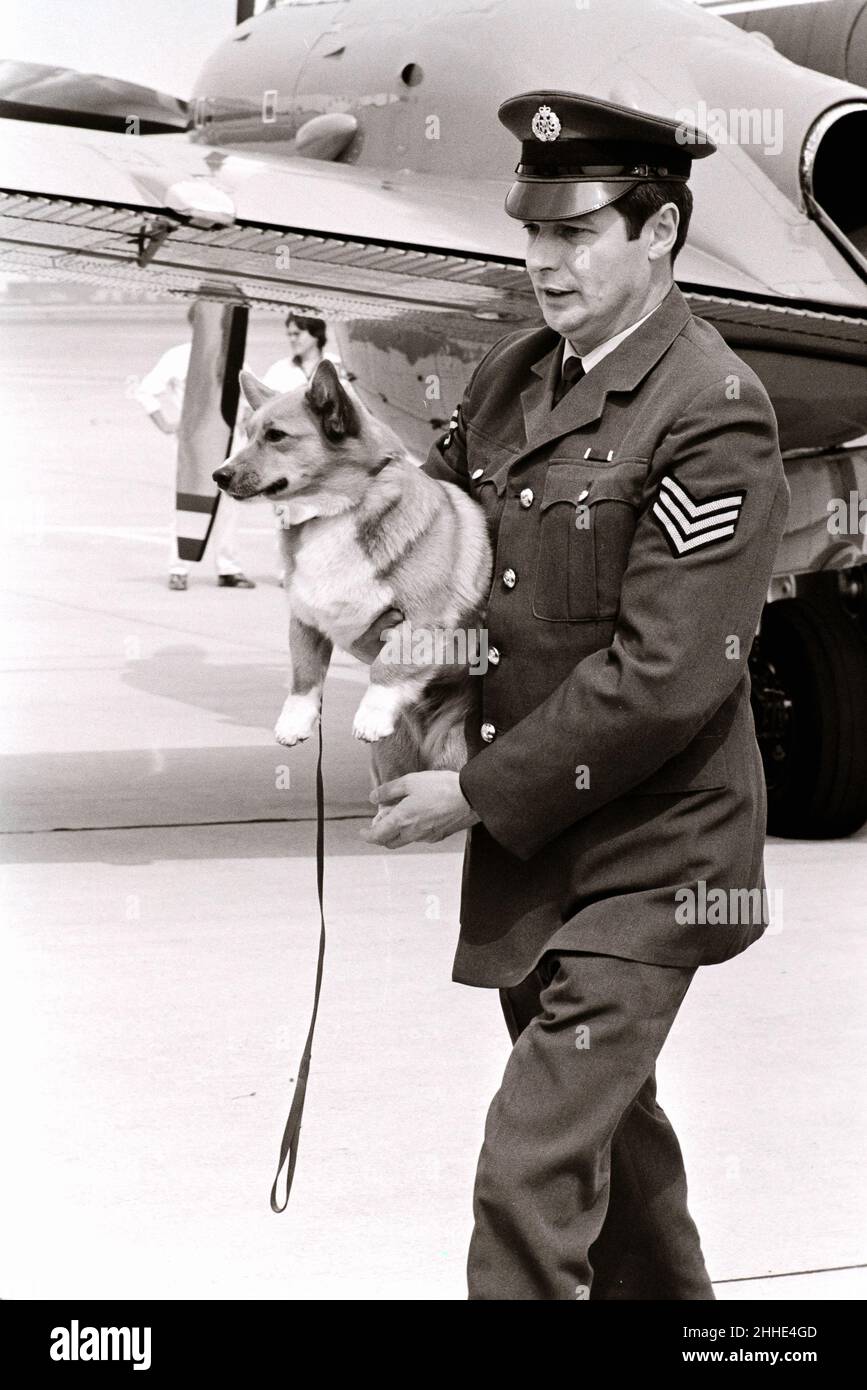 Queen's aids at Heathrow Airport August 1982 with Corgis Stock Photo ...