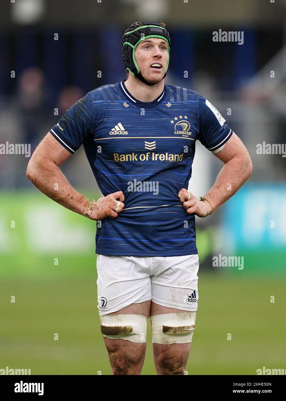 2022 leinster rugby ryan hi-res stock photography and images - Alamy