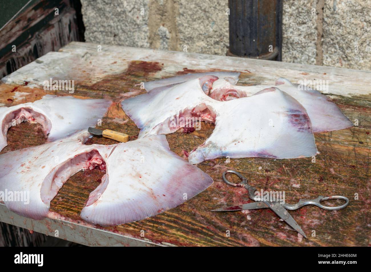 A fish cut and prepared at the port for sale and distribution ...
