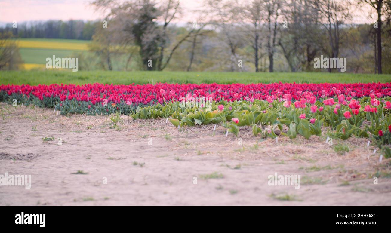 Wide panning shot hi-res stock photography and images - Alamy