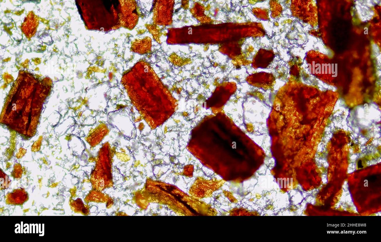 Saffron and olive oil under the microscope Stock Photo - Alamy