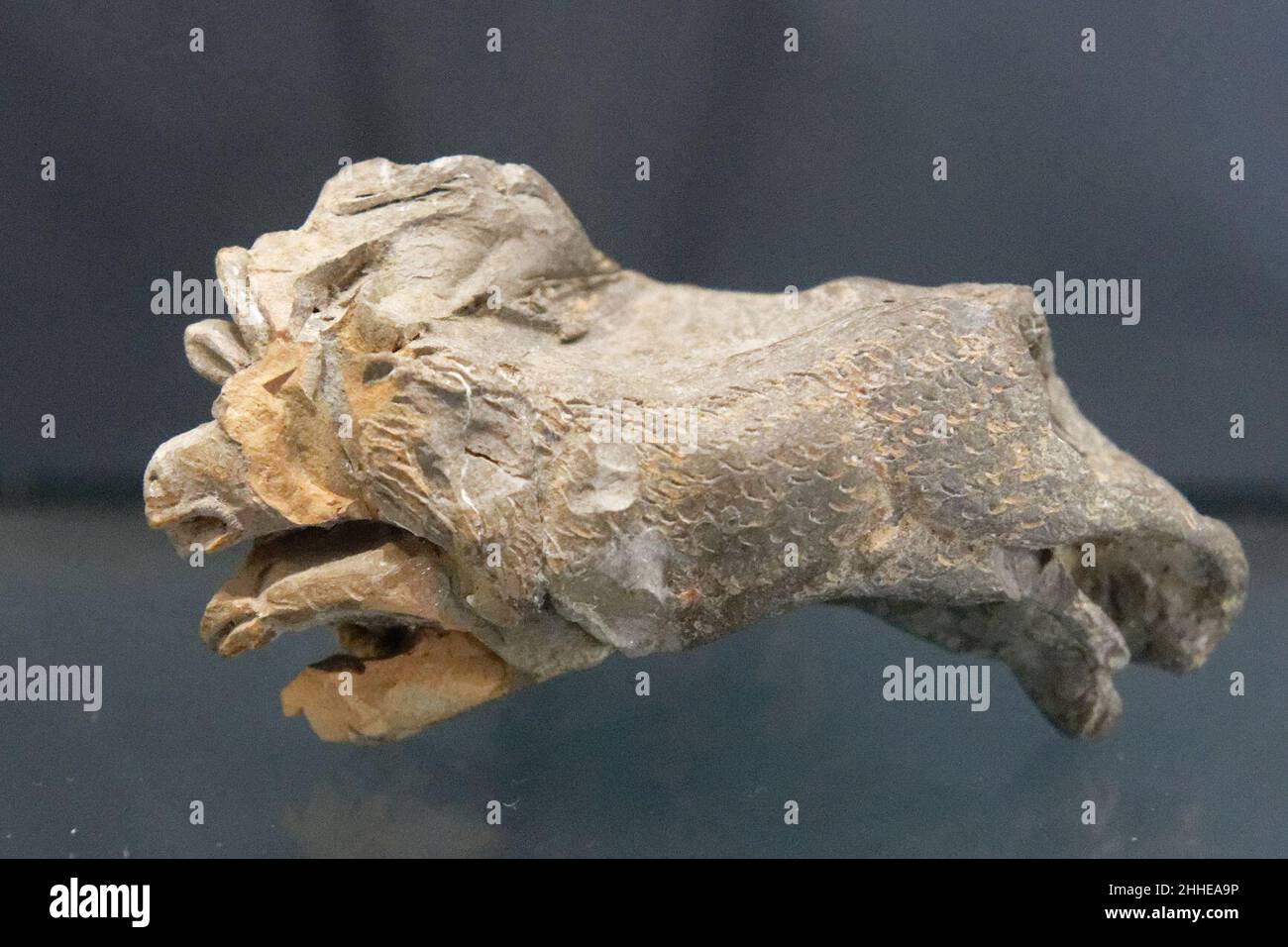 Mdcl hi-res stock photography and images - Alamy