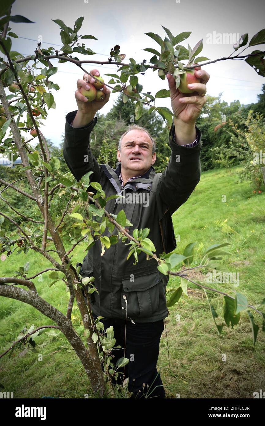 Ed Davey leader of the Liberal Democrats visits Longtons Farm an ...