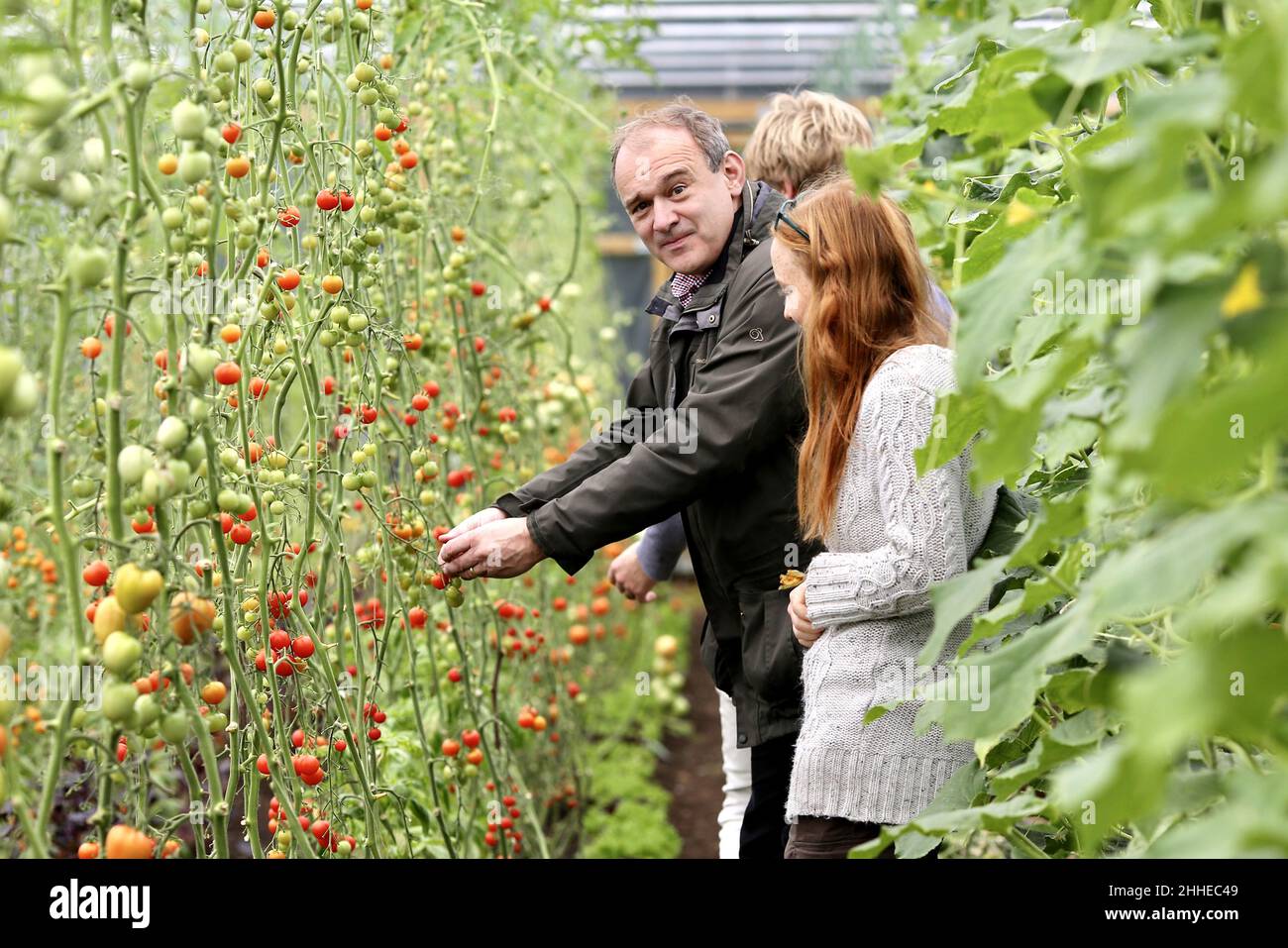 Ed Davey leader of the Liberal Democrats visits Longtons Farm an ...